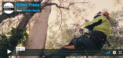 Eden Trees About Us Company Video - Treegear