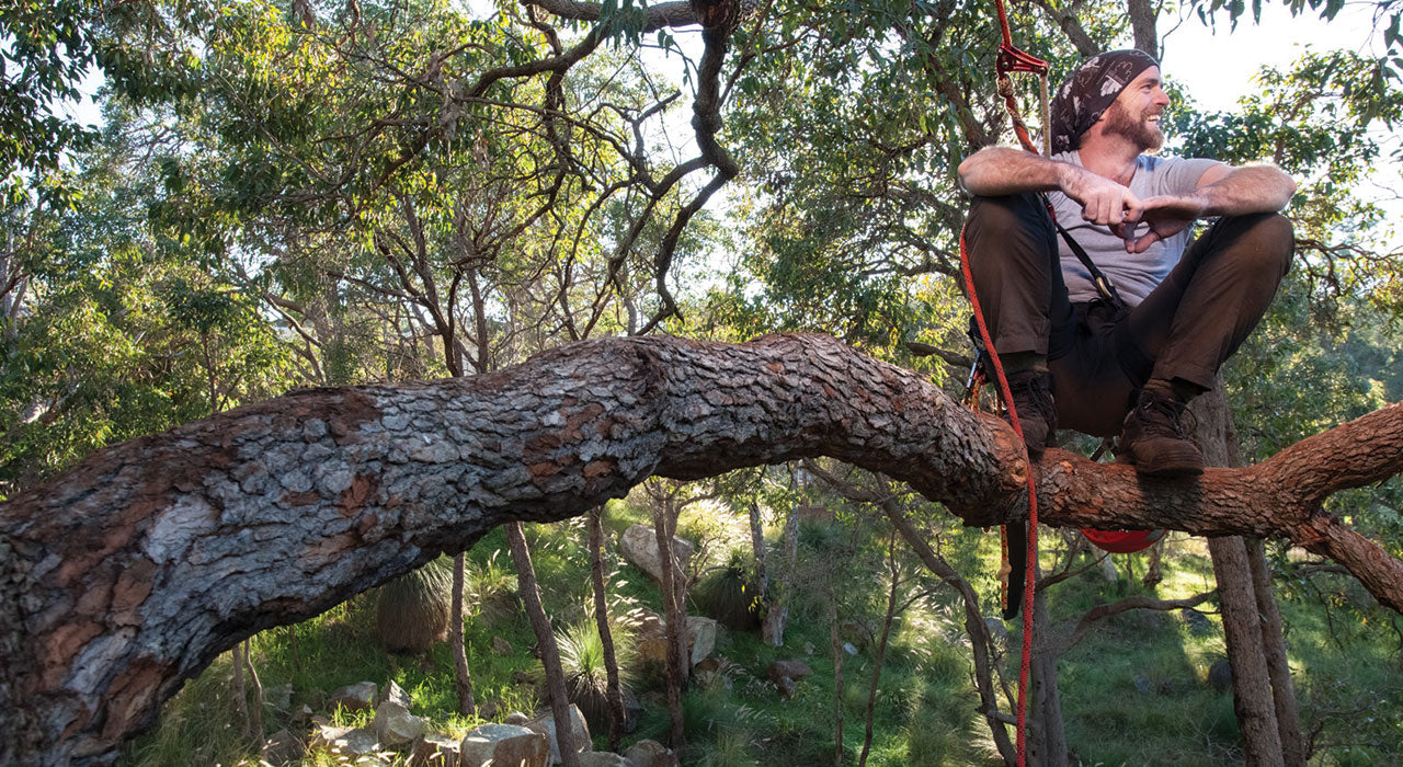Tree Climbing Gear | Height Access | Arborist Equipment | Treegear